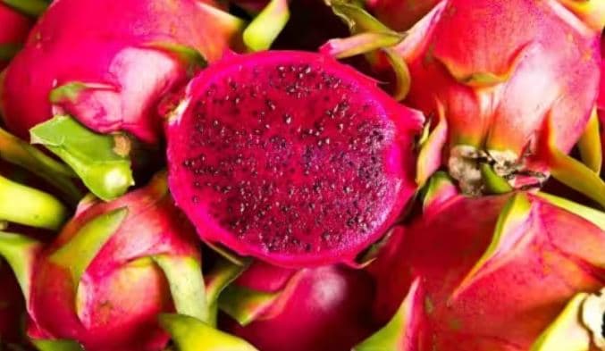 Dragon Fruit: ಹೇಗೆಂದರೆ ಹಾಗೆ ತಿನ್ನೋದಲ್ಲ ಡ್ರ್ಯಾಗನ್ ಫ್ರೂಟ್ಸ್! ಸರಿಯಾಗಿ ...
