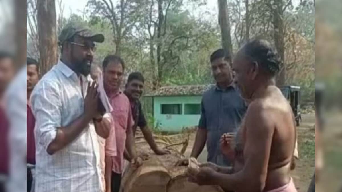 Teak Tree: ಬರೋಬ್ಬರಿ 40 ಲಕ್ಷಕ್ಕೆ ಮಾರಾಟವಾಗಿದೆ ಈ ತೇಗದ ಮರ, ಸಾರ್ವಕಾಲಿಕ ದಾಖಲೆ ...