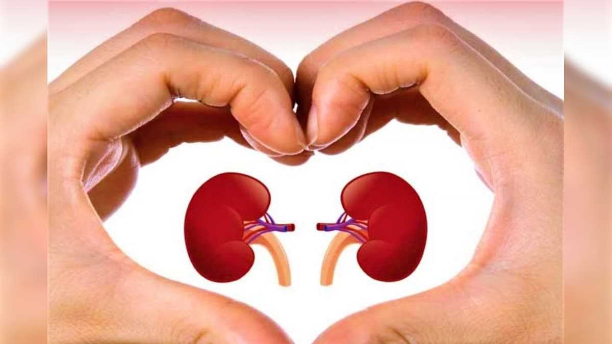 Kidney Health: ದೇಹದ ಆರೋಗ್ಯ ಕಾಪಾಡುವ ಕಿಡ್ನಿಯೂ ಆರೋಗ್ಯವಾಗಿರಬೇಕು! ಈ ...