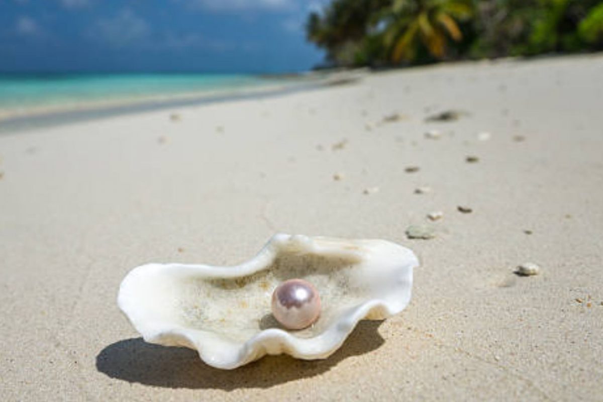 Pearl: ವಿಶ್ವದ ಅತ್ಯಂತ ಹಳೆಯ ಮುತ್ತಿನ ನಗರ ಪತ್ತೆ! ಸಖತ್ ಇಂಟ್ರೆಸ್ಟಿಂಗ್ ಸುದ್ಧಿ ...