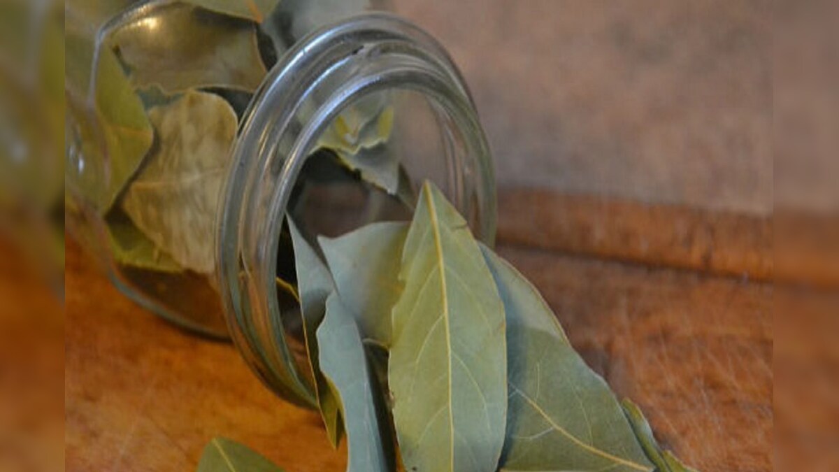 Benefits Of Bay Leaf: ಈ ಒಂದು ಮಸಾಲೆ ಎಲೆ ಇದ್ರೆ ಸಾಕು ನಿಮ್ಮ ದುಡ್ಡಿನ ...