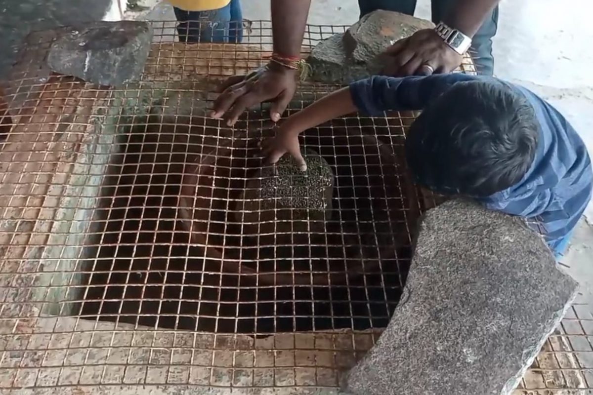 Floating Stone: ರಾಮೇಶ್ವರದಲ್ಲಿವೆ ತೇಲುವ ಕಲ್ಲುಗಳು! | Rameshwaram floating ...