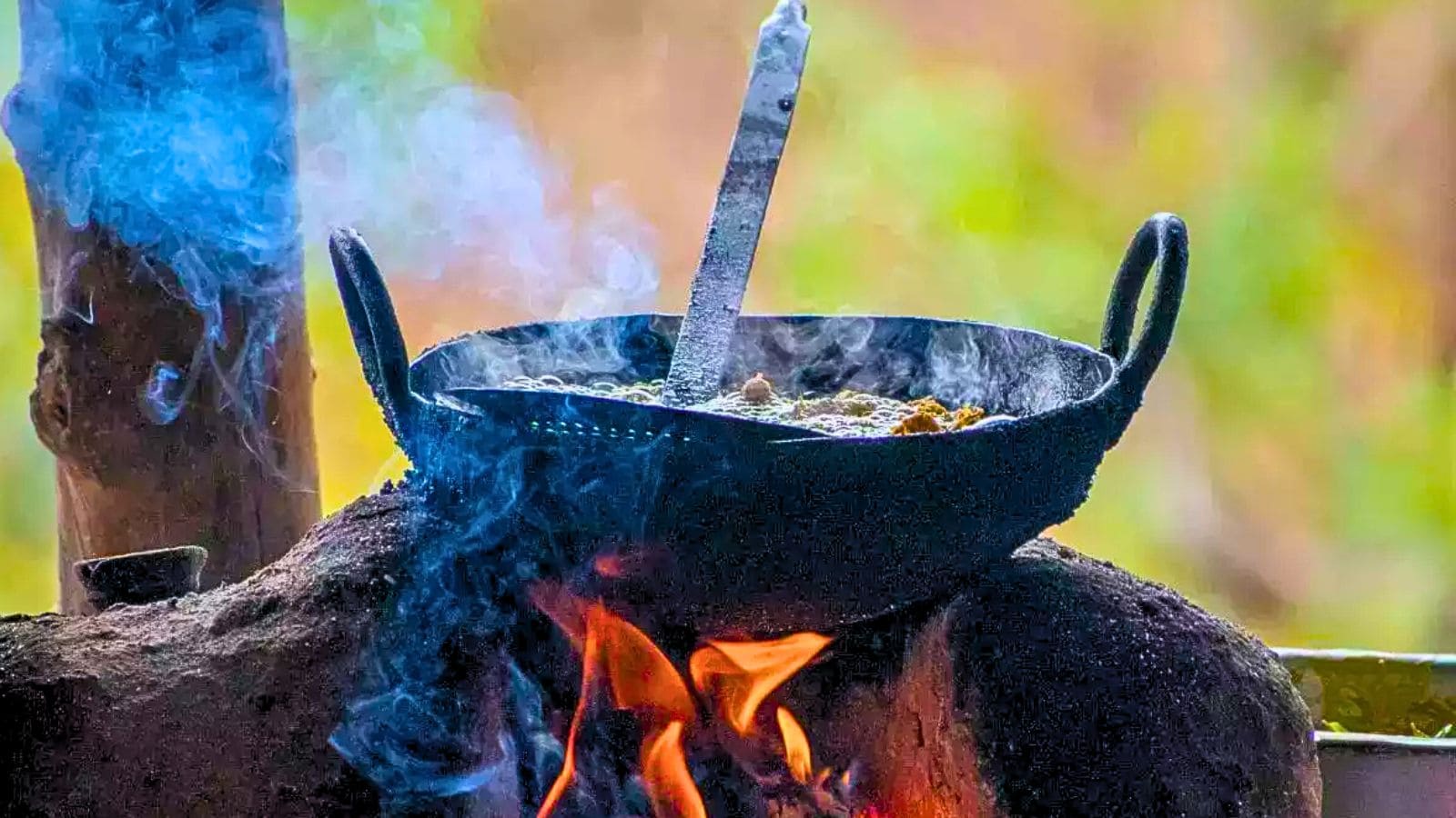 Cooking Tips: ಕಬ್ಬಿಣದ ಕಡಾಯಿಯಲ್ಲಿ ಎಂದಿಗೂ ಈ ಆಹಾರಗಳನ್ನು ತಯಾರಿಸಲೇಬೇಡಿ ...