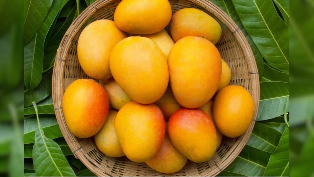 Costly Mango: ಈ ಒಂದು ಮಾವಿನ ಹಣ್ಣಿನ ಬೆಲೆಗೆ ಹೊಸ ವಾಷಿಂಗ್ ಮೆಷಿನ್ ಬರುತ್ತೆ!