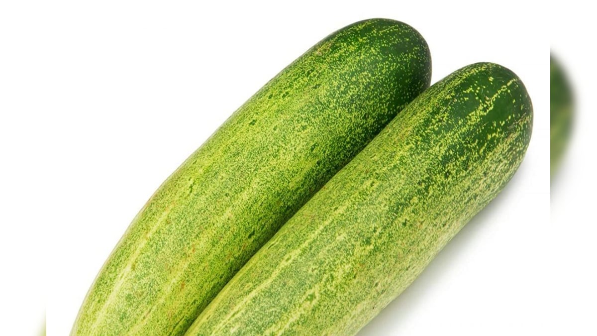 Cucumber Fruit Or Vegetable: ಸೌತೆಕಾಯಿ ಹಣ್ಣೋ ಅಥವಾ ತರಕಾರಿನೋ? ನಿಮಗೆ ...
