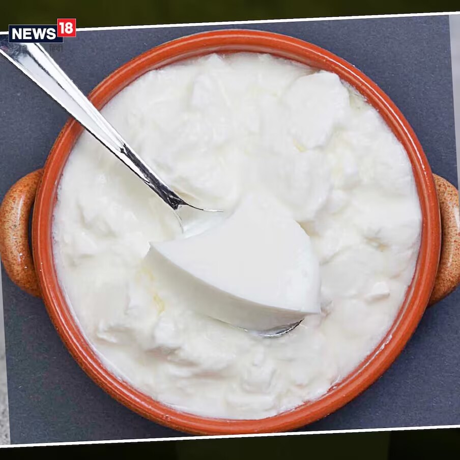 Curd vs Yogurt: ಮೊಸರು ಮತ್ತು ಯೋಗರ್ಟ್ ನಡುವಿನ ವ್ಯತ್ಯಾಸವೇನು? ಇವೆರಡರಲ್ಲಿ ...