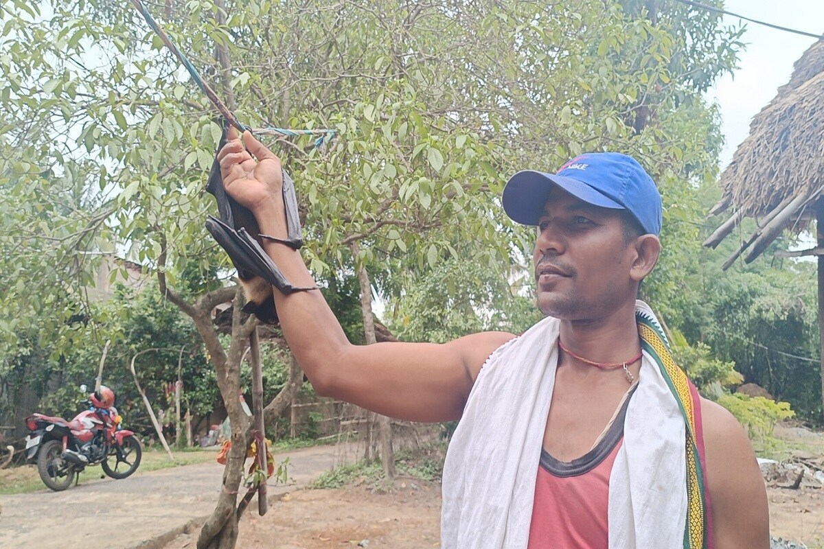 ಮನೆಯವರ ಜೊತೆ ಬೆರೆಯುವ ಬಾವಲಿ! ಈ ಅಪರೂಪದ ಫೋಟೋ ನೋಡಿದ್ರೆ ಅಚ್ಚರಿ ಅನ್ನಿಸುತ್ತೆ ...