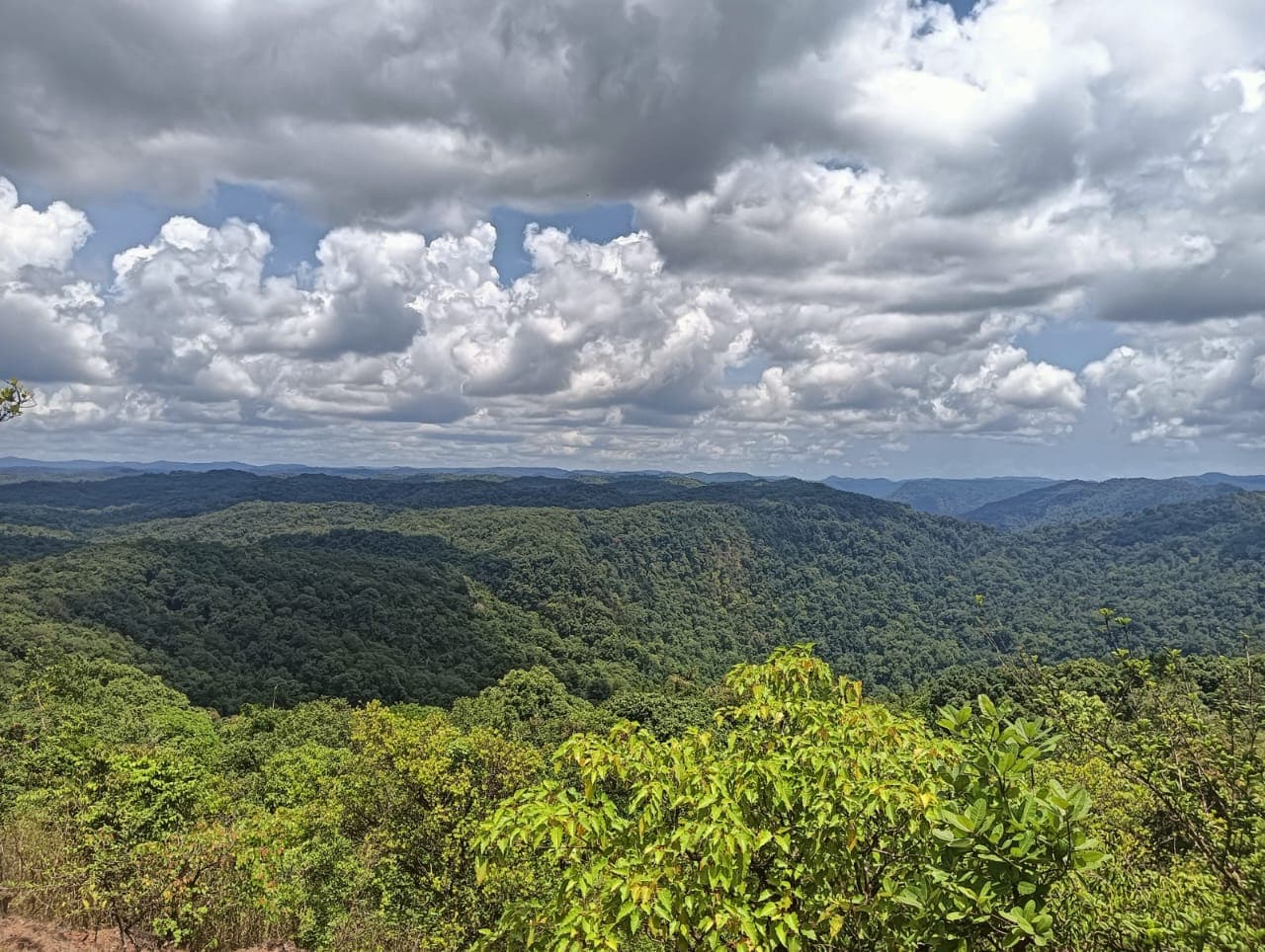 Bheemana Eri Gudda: ಶಿರಸಿಯಿಂದ ತುಂಬಾ ಸಮೀಪ ಮಲೆನಾಡಿನ ಸೌಂದರ್ಯ ಸವಿಯಲು ಹೇಳಿ ...