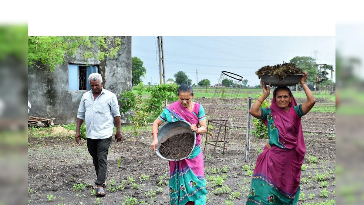 Organic Farming: ನೈಸರ್ಗಿಕ, ಗೋ ಆಧಾರಿತ ಕೃಷಿ ಮಾಡುವ ಮಹಿಳೆ! ಶೂನ್ಯ ಖರ್ಚಿನಲ್ಲಿ ...