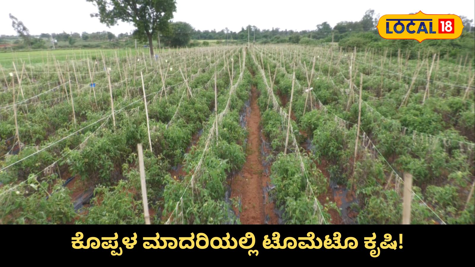 Koppal News koppal-news