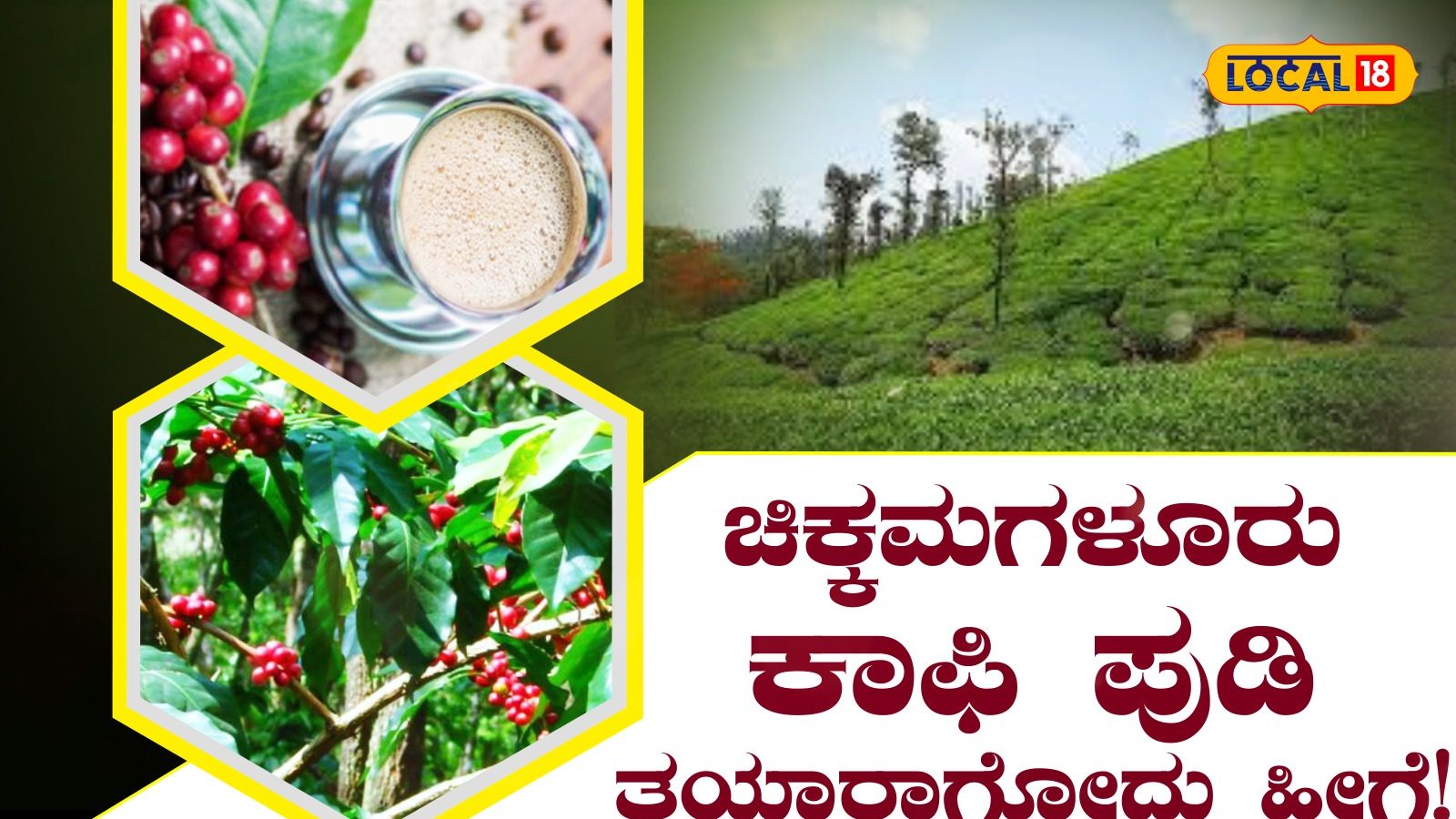 Chikkamagaluru Coffee: ಅದ್ಭುತ ಘಮ, ರುಚಿ, ಸ್ವಾದದ ಚಿಕ್ಕಮಗಳೂರು ಕಾಫಿಯ ಗುಟ್ಟು ...