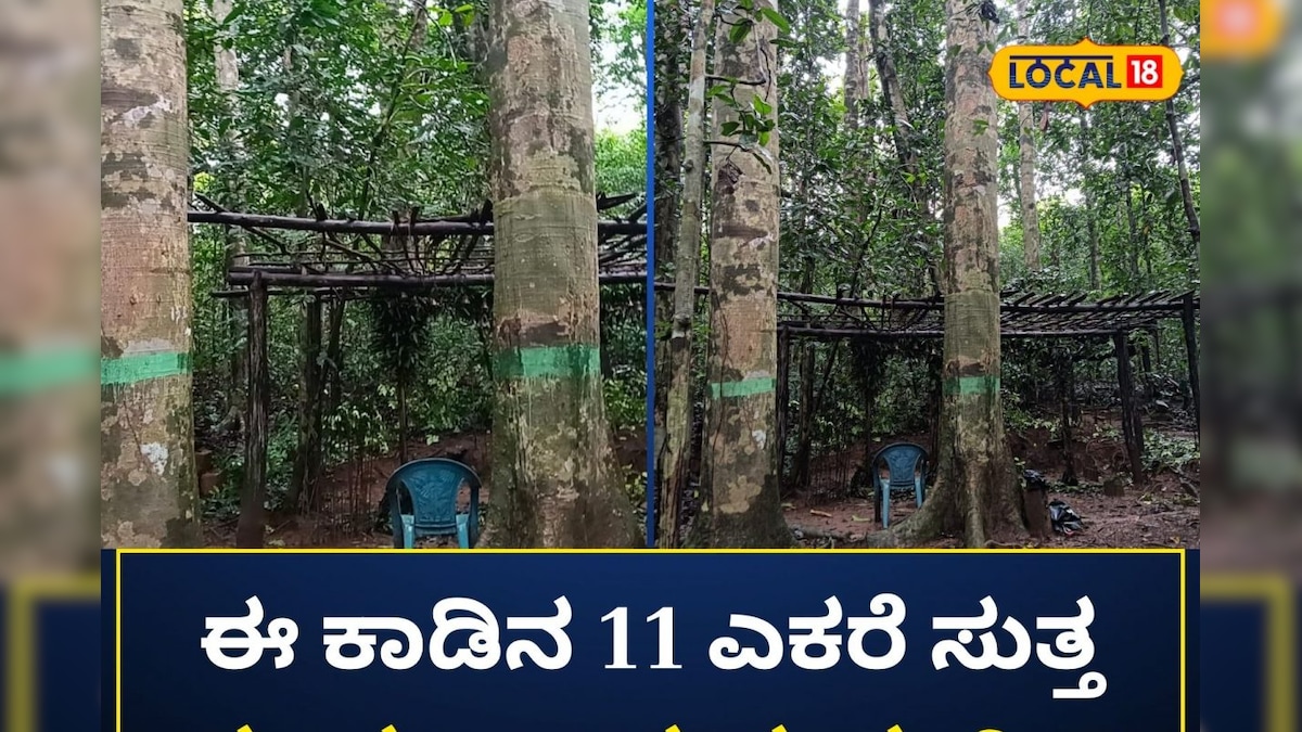 Uttara Kannada Forest: ಈ ಕಾಡಿನಿಂದ ಸಿಗುತ್ತೆ ಸಕಲ ಭಾಗ್ಯ, ಅಗೋಚರ ಶಕ್ತಿಯ ...