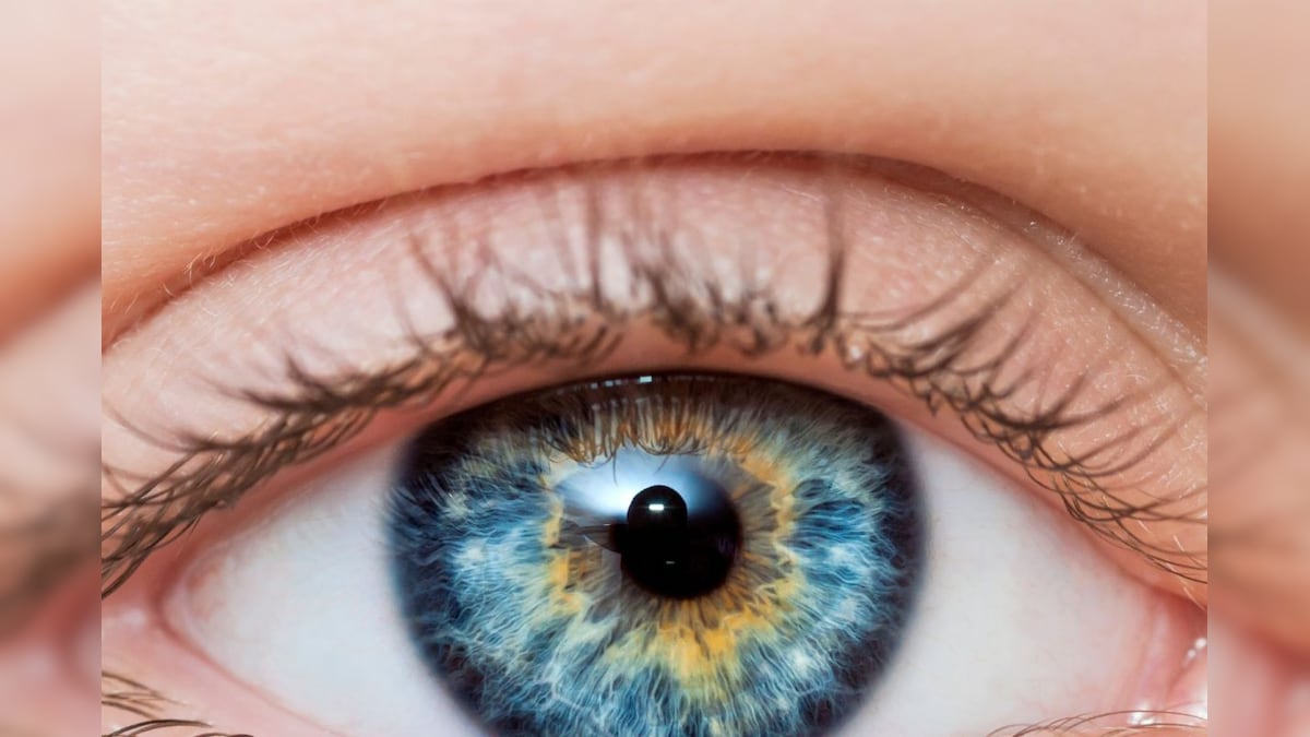 Eye Color: ಕಣ್ಣುಗಳ ಬಣ್ಣದಲ್ಲಿದೆ ನಿಮ್ಮ ಜೀವನದ ಗುಟ್ಟು | ಭವಿಷ್ಯ - News18 ಕನ್ನಡ