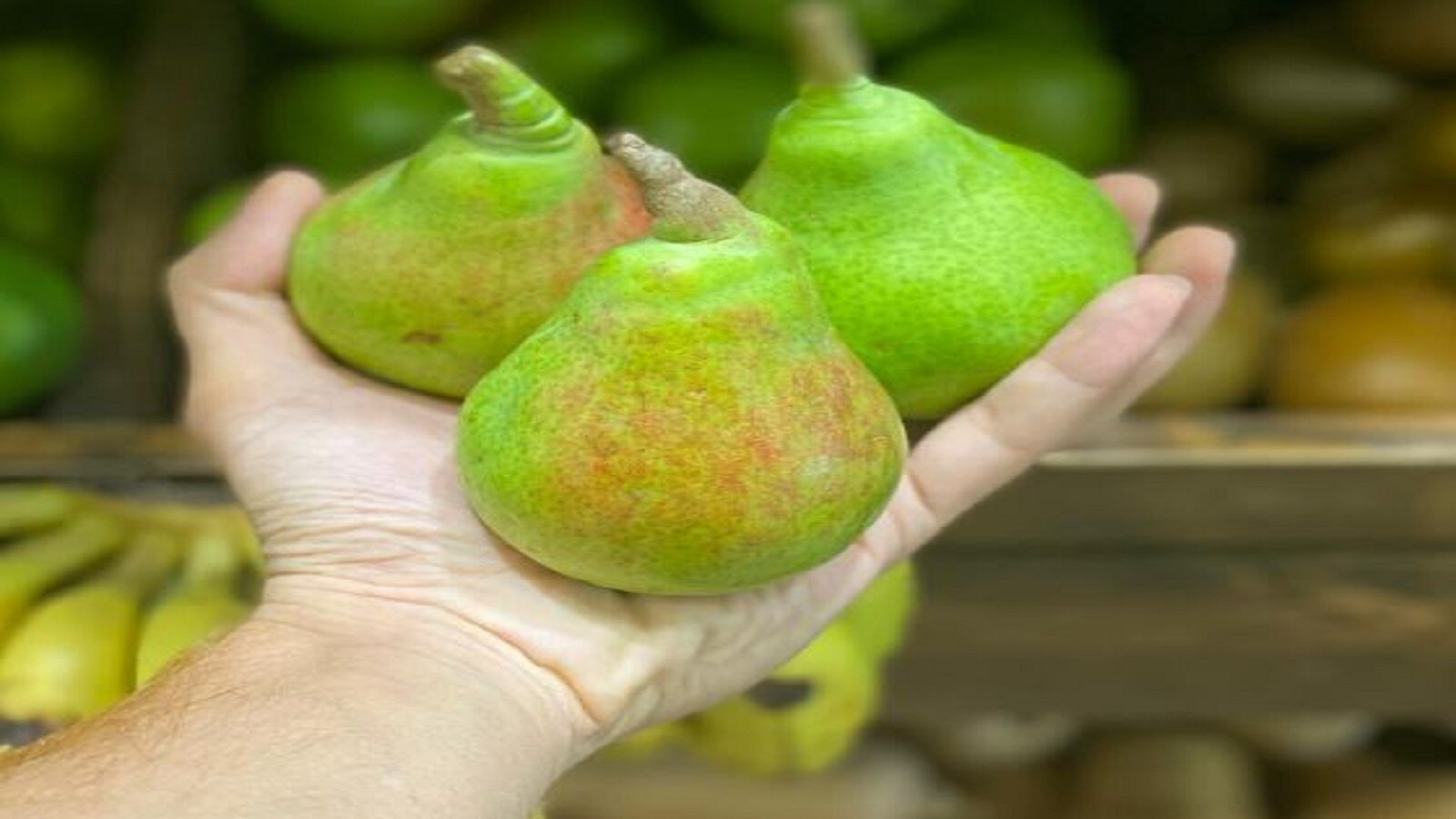 ರಕ್ತನಾಳಗಳ ಬ್ಲಾಕೇಜ್ ಸಮಸ್ಯೆ ನಿವಾರಣೆ ಈ ಹಣ್ಣು ತಿನ್ನಿ ಸಾಕು! | cholesterol ...