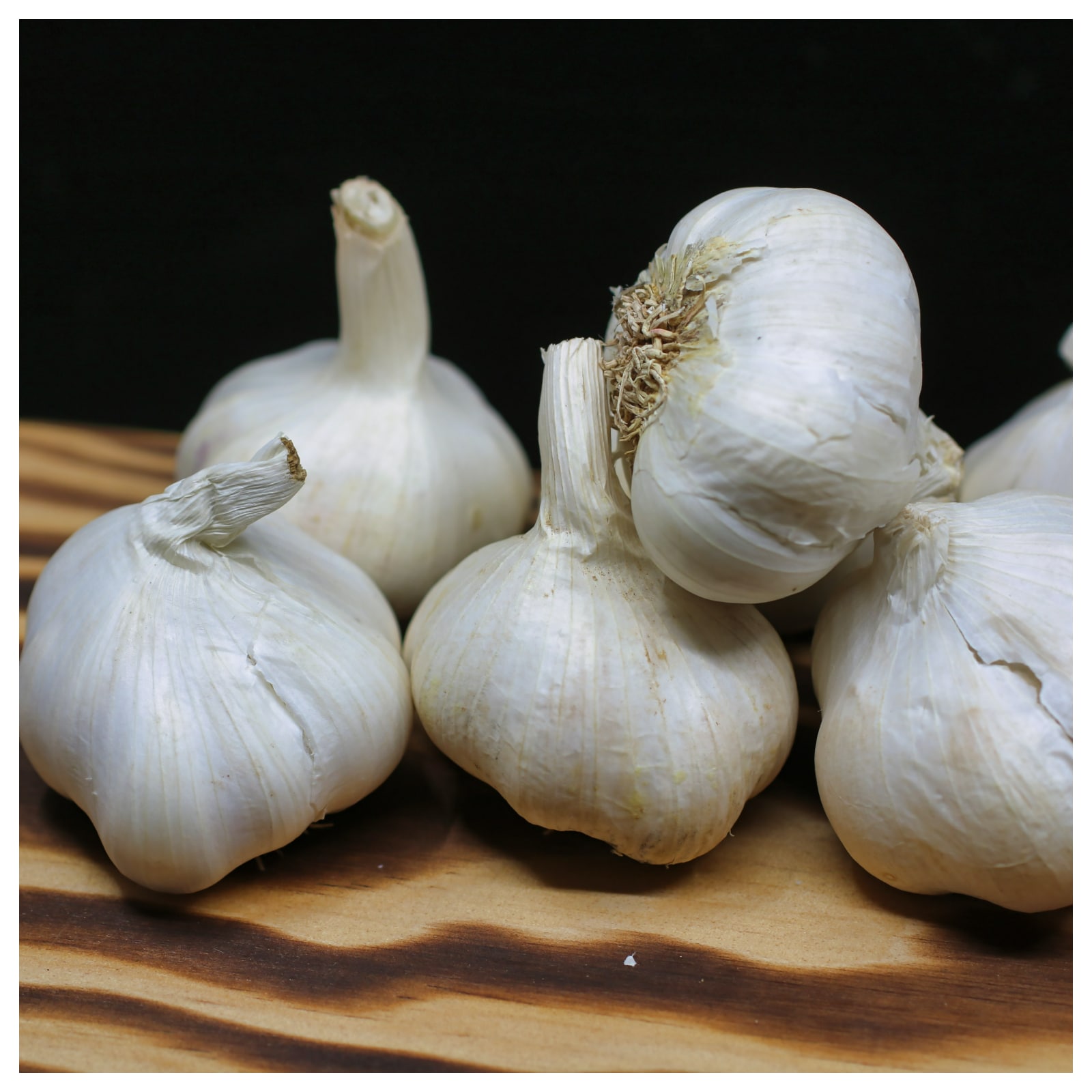 ಸುಮ್ ಸುಮ್ನೆ ಬೆಳ್ಳುಳ್ಳಿ ಸಿಪ್ಪೆ ಕಸ ಅಂತ ಎಸೆಯಬೇಡಿ; ಇದ್ರಲ್ಲಿ ಸಿಗೋ ಲಾಭ ...