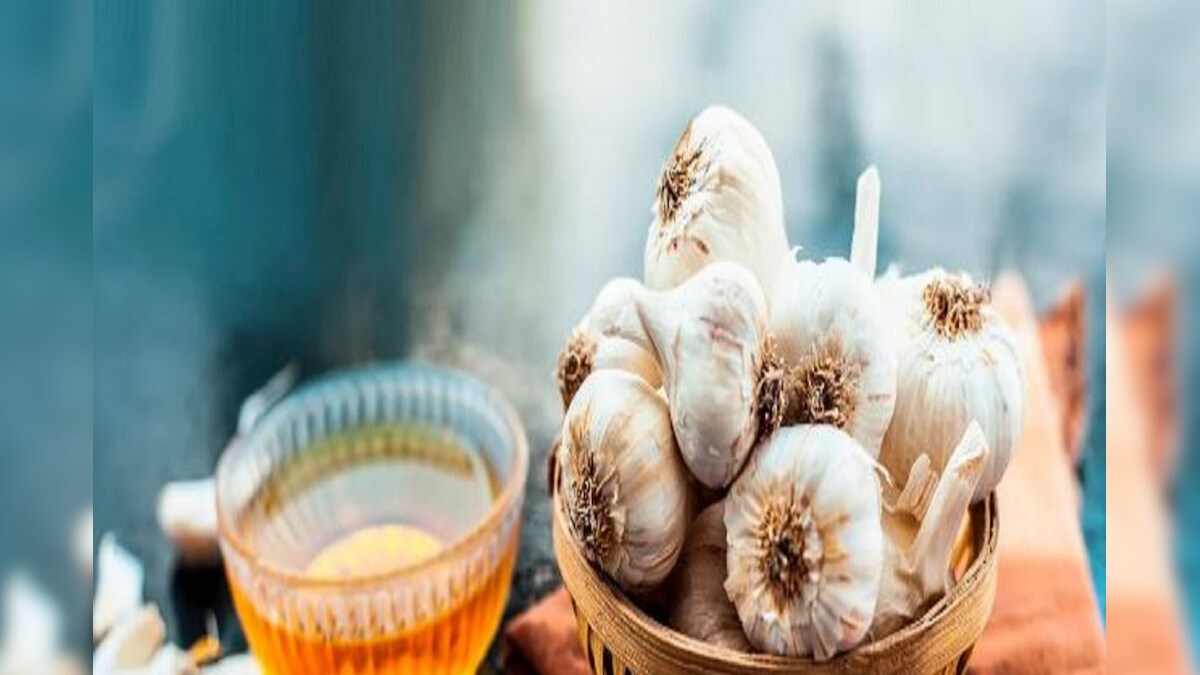 Garlic: ಪ್ರತಿದಿನ ಬೆಳ್ಳುಳ್ಳಿ ಬಳಸಿದ್ರೆ ನೂರೆಂಟು ಲಾಭ! ನಿಮಗೆ ಗೊತ್ತಾದರೆ ...