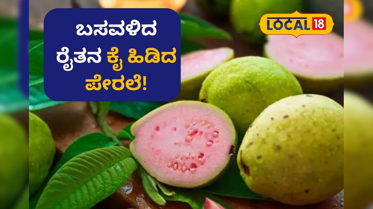 ಈ ರೈತನ ಆದಾಯ ತಿಂಗಳಿಗೆ 1 ಲಕ್ಷ! ಊರಲ್ಲೇ ಇದ್ದು ಕಣ್ಣರಳಿಸುವ ಗಳಿಕೆ! – News18 ಕನ್ನಡ