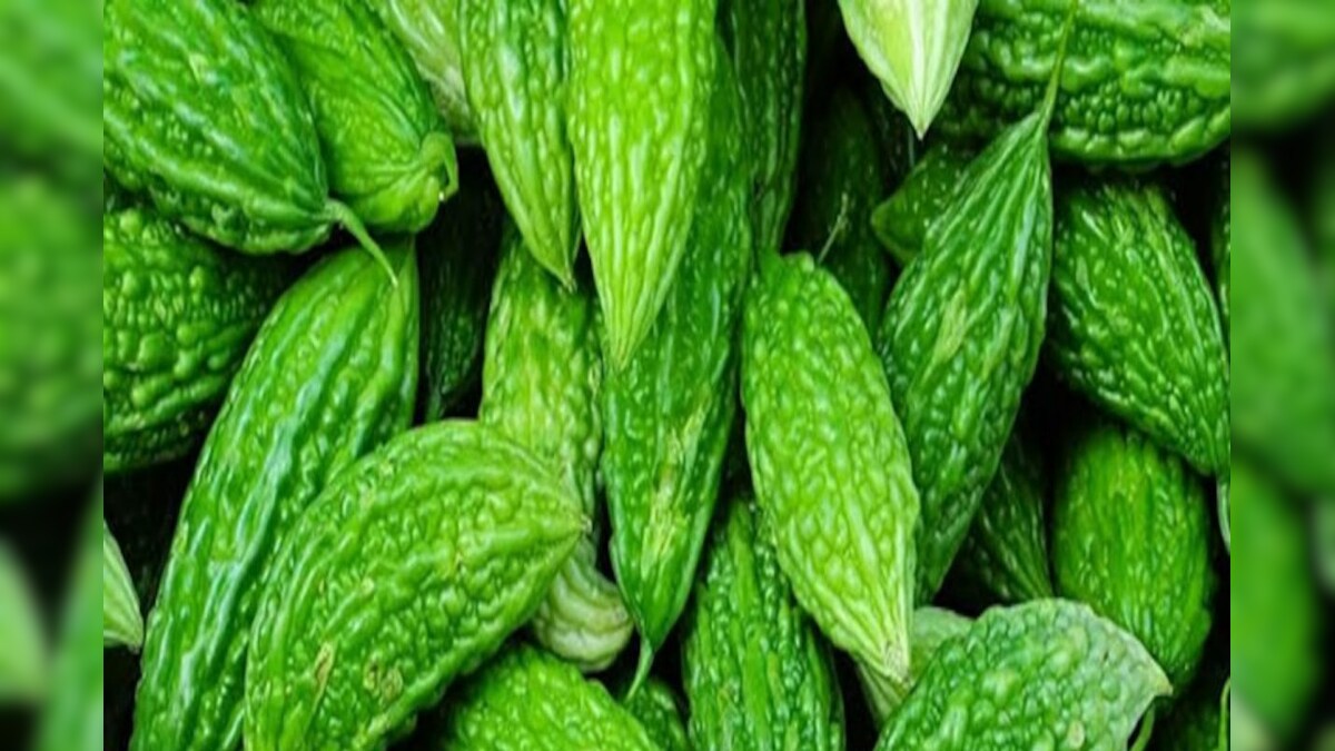 Bitter Gourd: ಆಹಾರ ಪ್ರಿಯರೇ ಎಚ್ಚರ; ಹಾಗಲಕಾಯಿಯೊಂದಿಗೆ ಈ ಪದಾರ್ಥಗಳನ್ನು ...