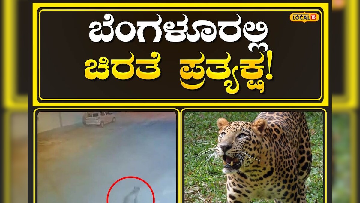 Leopard: ಸಿಲಿಕಾನ್ ಸಿಟಿಯಲ್ಲಿ ಚಿರತೆ ಪ್ರತ್ಯಕ್ಷ, ಬೆಚ್ಚಿ ಬಿದ್ದ ಬೆಂಗಳೂರು ಮಂದಿ! | Leopard sighting in ...