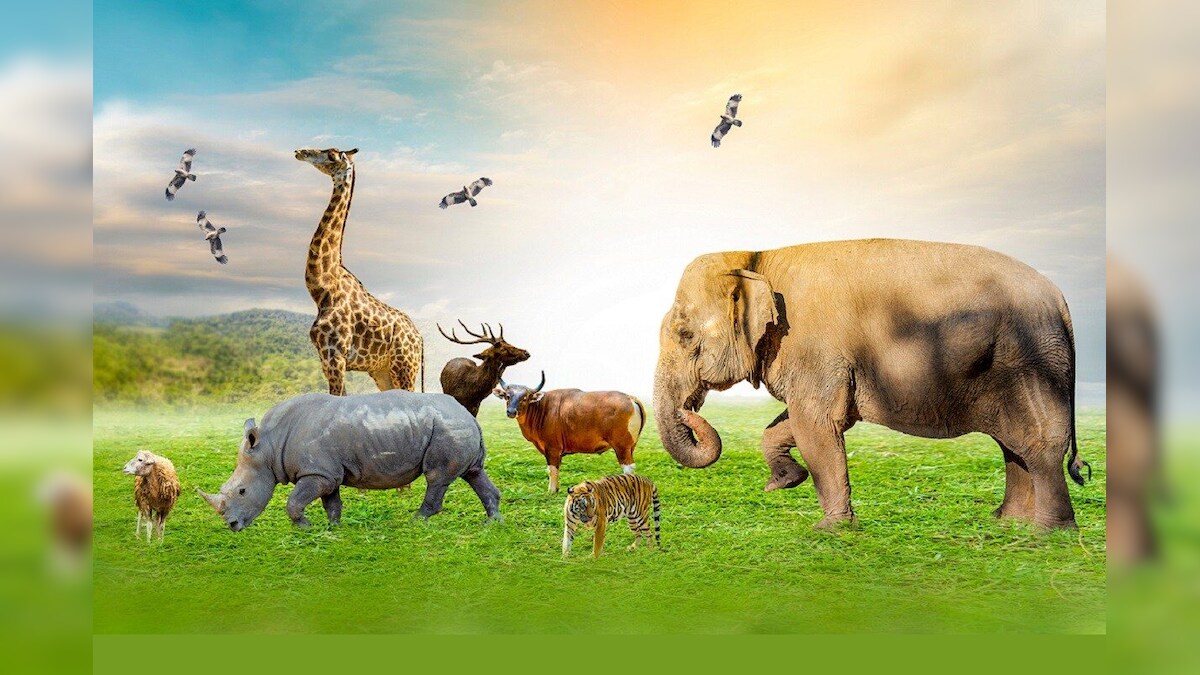 Animals: ಪರಿಸರಕ್ಕೆ ಹೆಚ್ಚು ಹಾನಿಯುಂಟುಮಾಡುವ ಪ್ರಾಣಿ ಯಾವುದು ಎಂಬ ಮಾಹಿತಿ ...