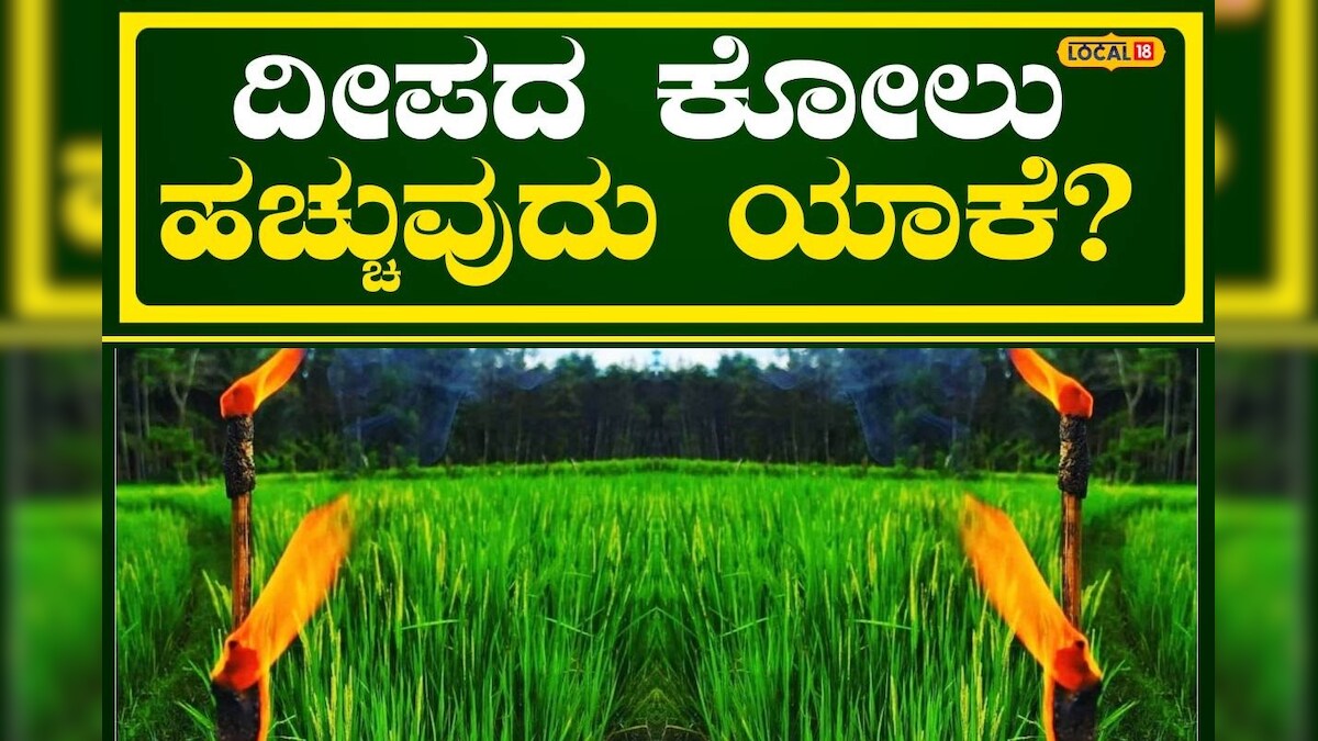 Deepavali 2023: ಮಲೆನಾಡಿನ ರೈತರು ದೀಪದ ಕೋಲು ಹಚ್ಚಿ ದೀಪಾವಳಿ ಆಚರಿಸುವುದು ಯಾಕೆ ...