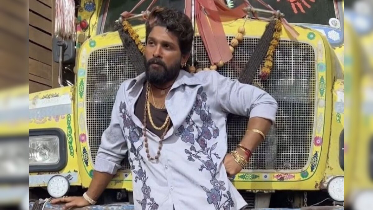 Pushpa 2: ಪುಷ್ಪ 2 ಸ್ಟೋರಿ ಲೀಕ್ ಮಾಡಿದ ರಣಬೀರ್ ಕಪೂರ್!