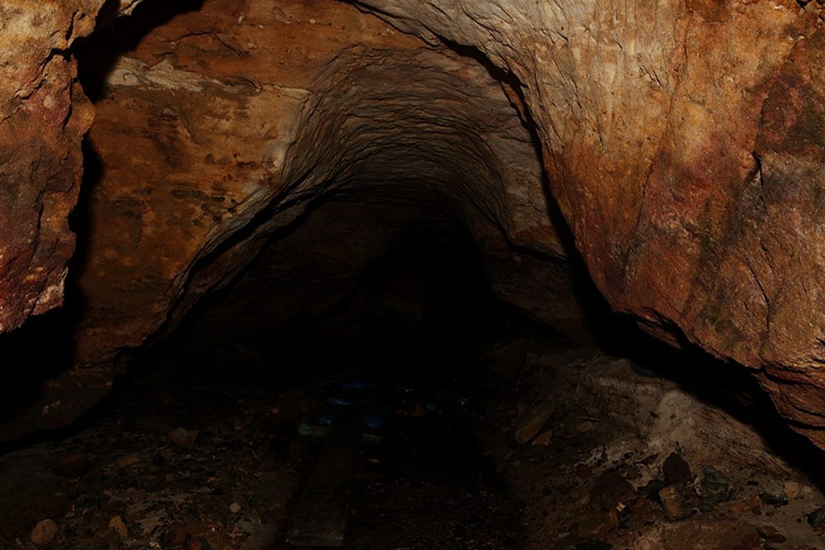 Rat Hole-Mining: ನಿಷೇಧಿಸಲಾಗಿದ್ದ ಇಲಿ ಬಿಲ ಗಣಿಗಾರಿಕೆಯಿಂದಲೇ ಉಳಿಯಿತು 41 ಜನರ ...