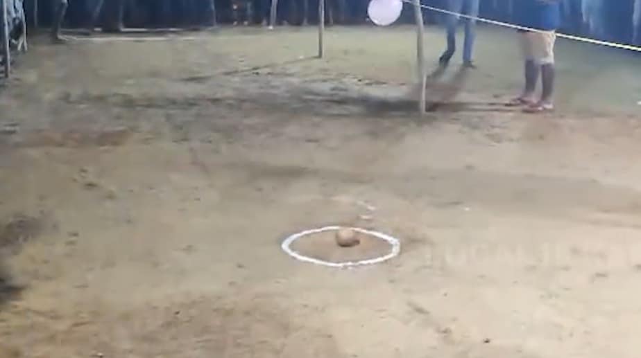 Coconut Game: ಹೊನಲು-ಬೆಳಕಿನ ಸುಲುಗಾಯಿ ಪಂದ್ಯ, ಈ ಆಟದ ನಿಯಮ ಇದೇ ನೋಡಿ ...