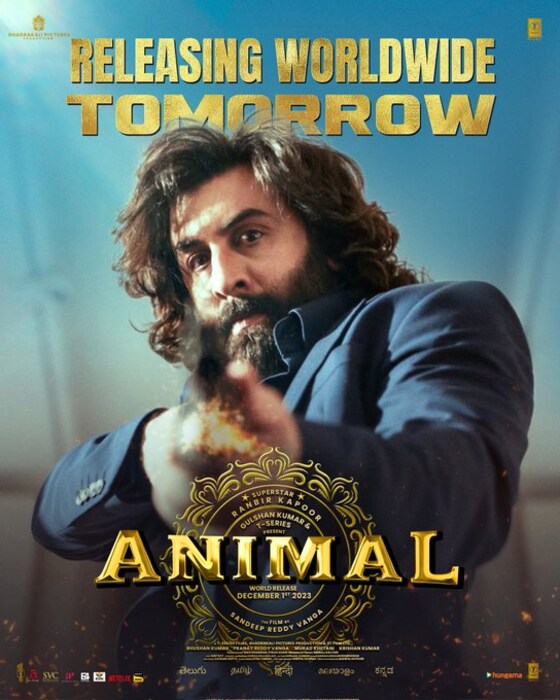 Animal Movieಗೆ ಫಸ್ಟ್ ಚಾಯ್ಸ್ ರಣಬೀರ್ ಕಪೂರ್ ಅಲ್ಲ! ಆಫರ್ ಮೊದಲು ಸಿಕ್ಕಿದ್ದು ಈ ...