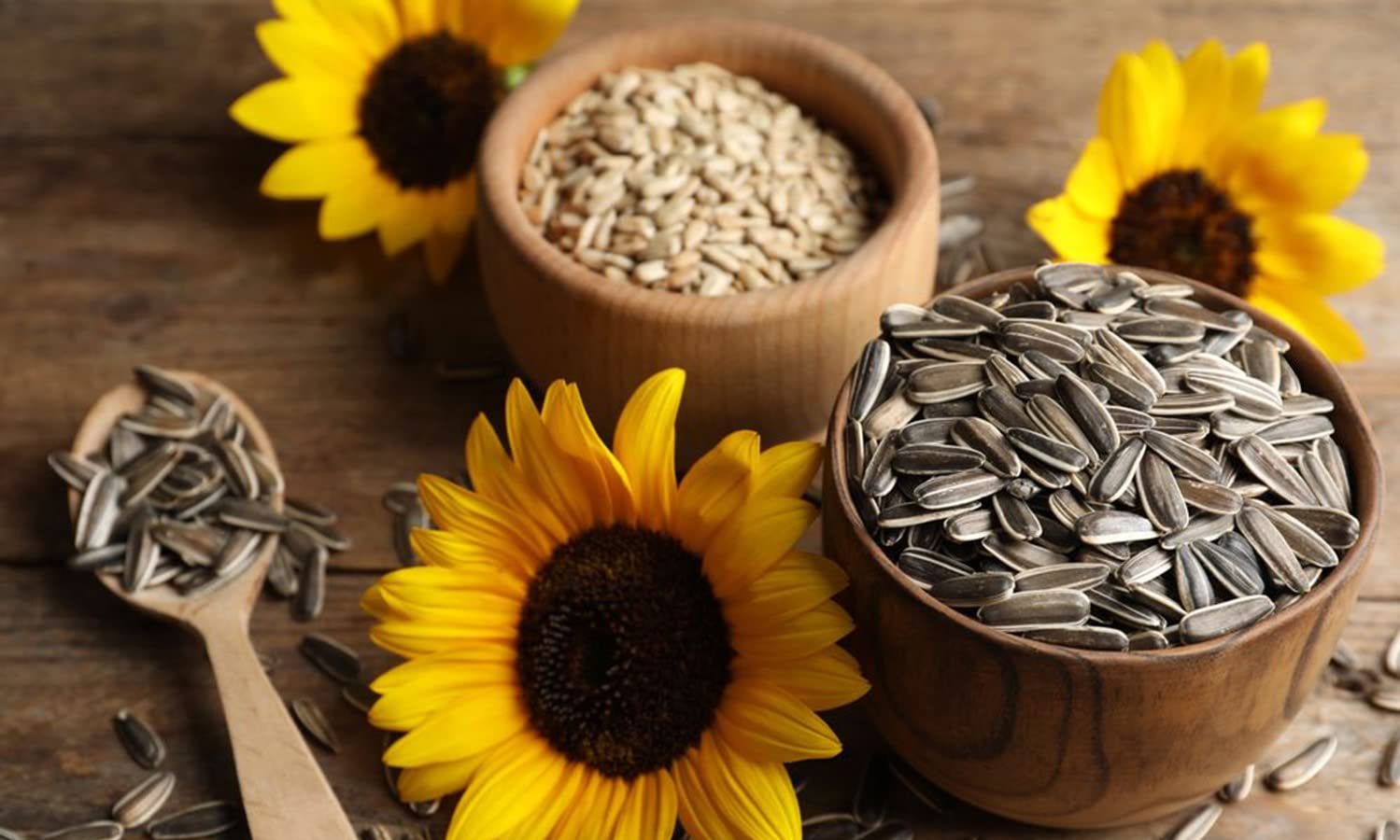 Sunflower Seeds: ಸೂರ್ಯನಷ್ಟೇ ಪವರ್ ಫುಲ್ ಸೂರ್ಯಕಾಂತಿ ಬೀಜಗಳು; ತಿಂದ್ರೆ ಈ ...