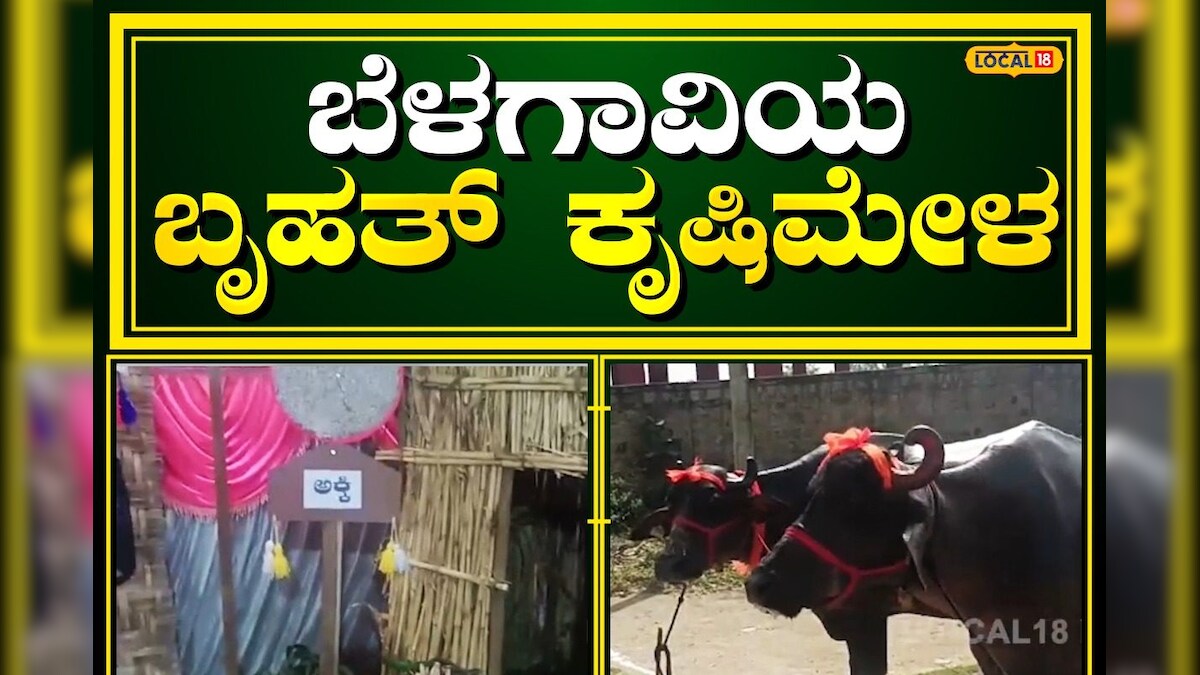 Krishi Mela: ಬೆಳಗಾವಿಯ ಕೃಷಿಮೇಳದ ಝಲಕ್ ನೋಡಿ! | See the Belagavi Krishi Mela how its beautiful ...