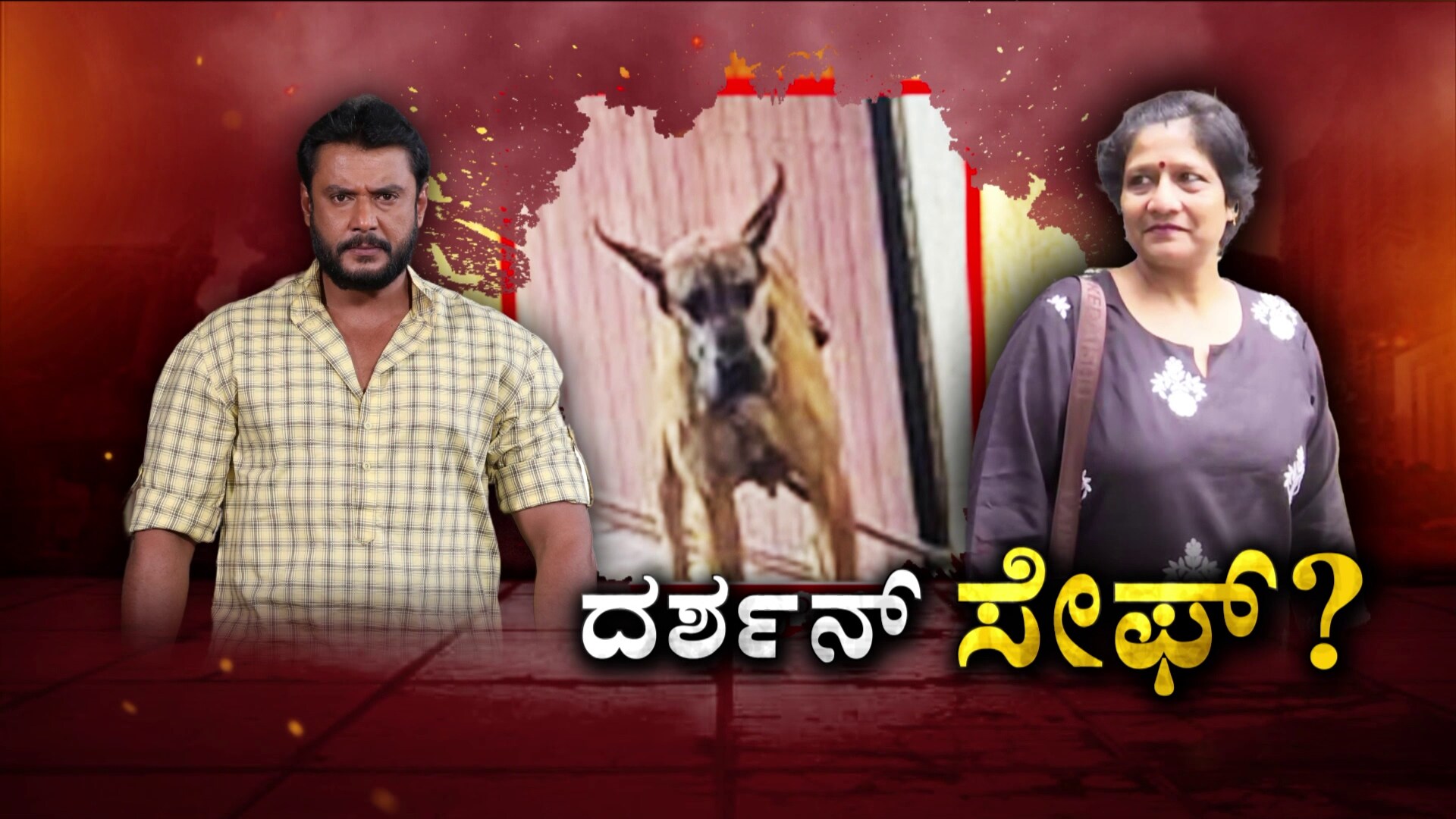 Actor Darshan: ಲಾಯರ್ ಮೇಲೆ ಸಾಕುನಾಯಿ ದಾಳಿ ಕೇಸ್; ದರ್ಶನ್ ಹೆಸರು ಕೈಬಿಟ್ರಾ ...