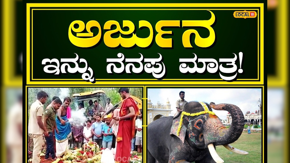 Arjuna Elephant: ದಸರಾ ಅಂಬಾರಿ ಹೊತ್ತಿದ್ದ ಅರ್ಜುನ ಇನ್ನು ನೆನಪು ಮಾತ್ರ ...