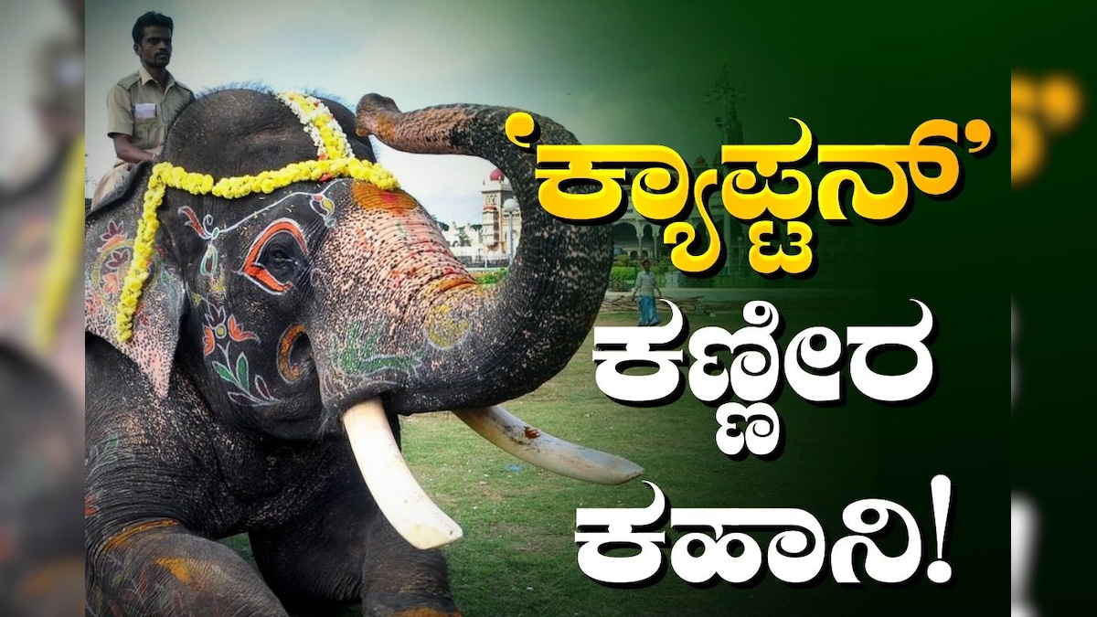Arjuna Elephant: ಪತ್ನಿ-ಕೂಸು ಕಳೆದುಕೊಂಡು ಒಬ್ಬಂಟಿಯಾಗಿದ್ದ ಅರ್ಜುನ! ದಸರಾ ...