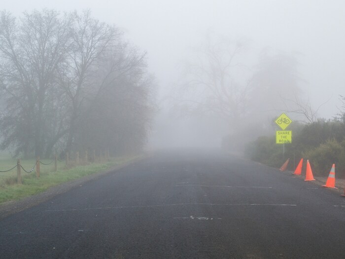 Weather Update Today: ದಟ್ಟವಾದ ಮಂಜಿನ ಜೊತೆಗೆ ಕೋಲ್ಡ್ ವೇವ್ ಅಲರ್ಟ್ ; ಚಳಿಯ ...