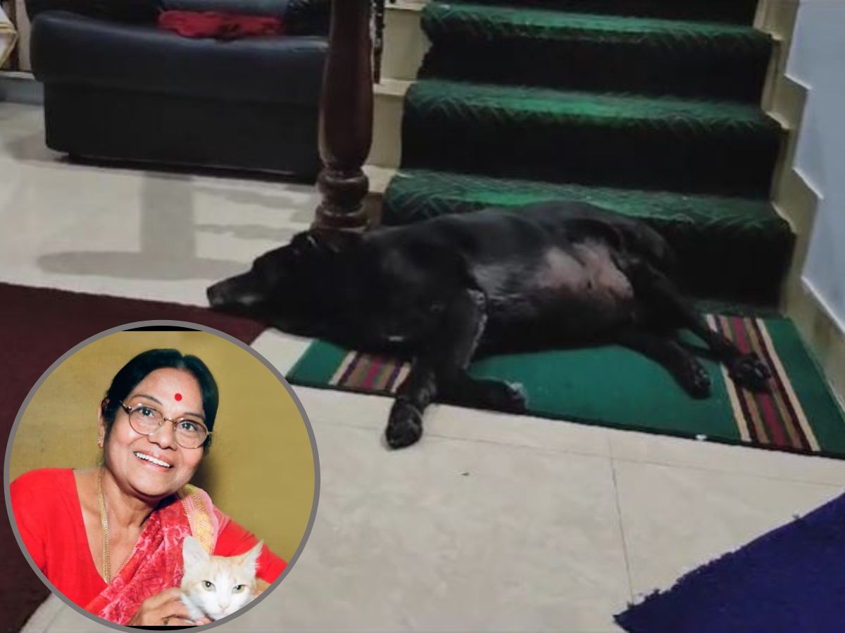 Leelavathi: ಎತ್ತಿನಗಾಡಿ ಓಡಾಡ್ತಿದ್ದ ದಾರಿಯಲ್ಲಿ ಟಾರು ಹಾಕಿಸಿ ಬಸ್ಸು ತರಿಸಿದ್ರು ...