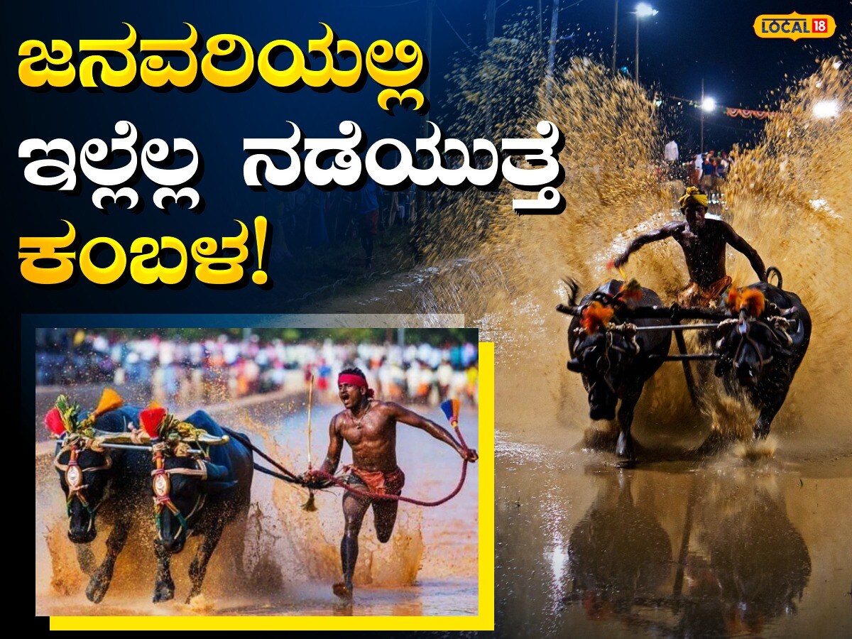Kambala List: ಜನವರಿ ತಿಂಗಳಿನಲ್ಲಿ ಕಂಬಳ ಸುಗ್ಗಿ; ಎಲ್ಲೆಲ್ಲ ನಡೆಯುತ್ತೆ ಅನ್ನೋದರ ...