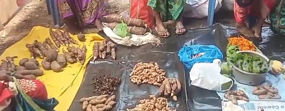 Sweet Potato: ಜೋಯಿಡಾದಲ್ಲಿ ಹತ್ತಾರು ವಿಧದ ಗೆಡ್ಡೆ ಗೆಣಸುಗಳು ಪ್ರದರ್ಶನ | A ...