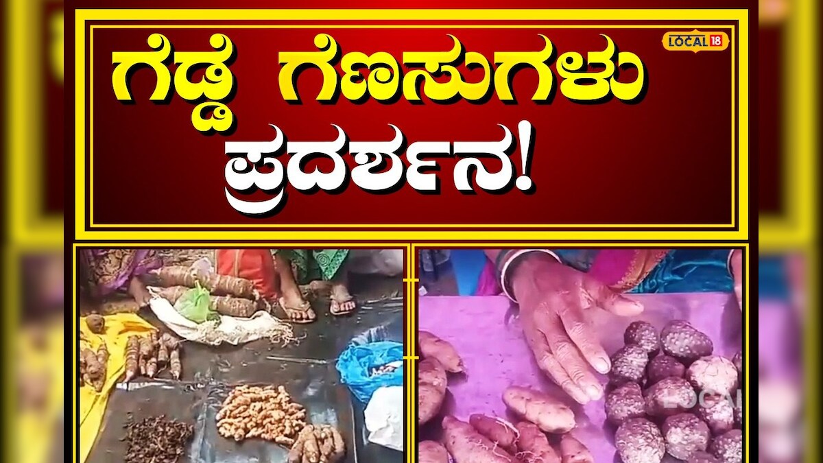 Sweet Potato: ಜೋಯಿಡಾದಲ್ಲಿ ಹತ್ತಾರು ವಿಧದ ಗೆಡ್ಡೆ ಗೆಣಸುಗಳು ಪ್ರದರ್ಶನ | A ...