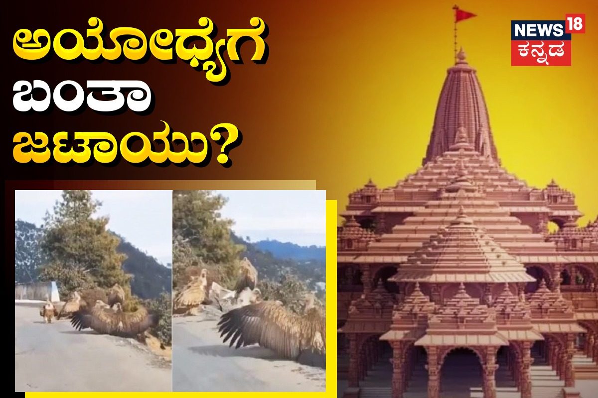 Ayodhya Ram Mandir: ಶ್ರೀರಾಮನನ್ನು ನೋಡಲು ಅಯೋಧ್ಯೆಗೆ ಬಂದ್ವಾ ಜಟಾಯು ಪಕ್ಷಿಗಳು ...