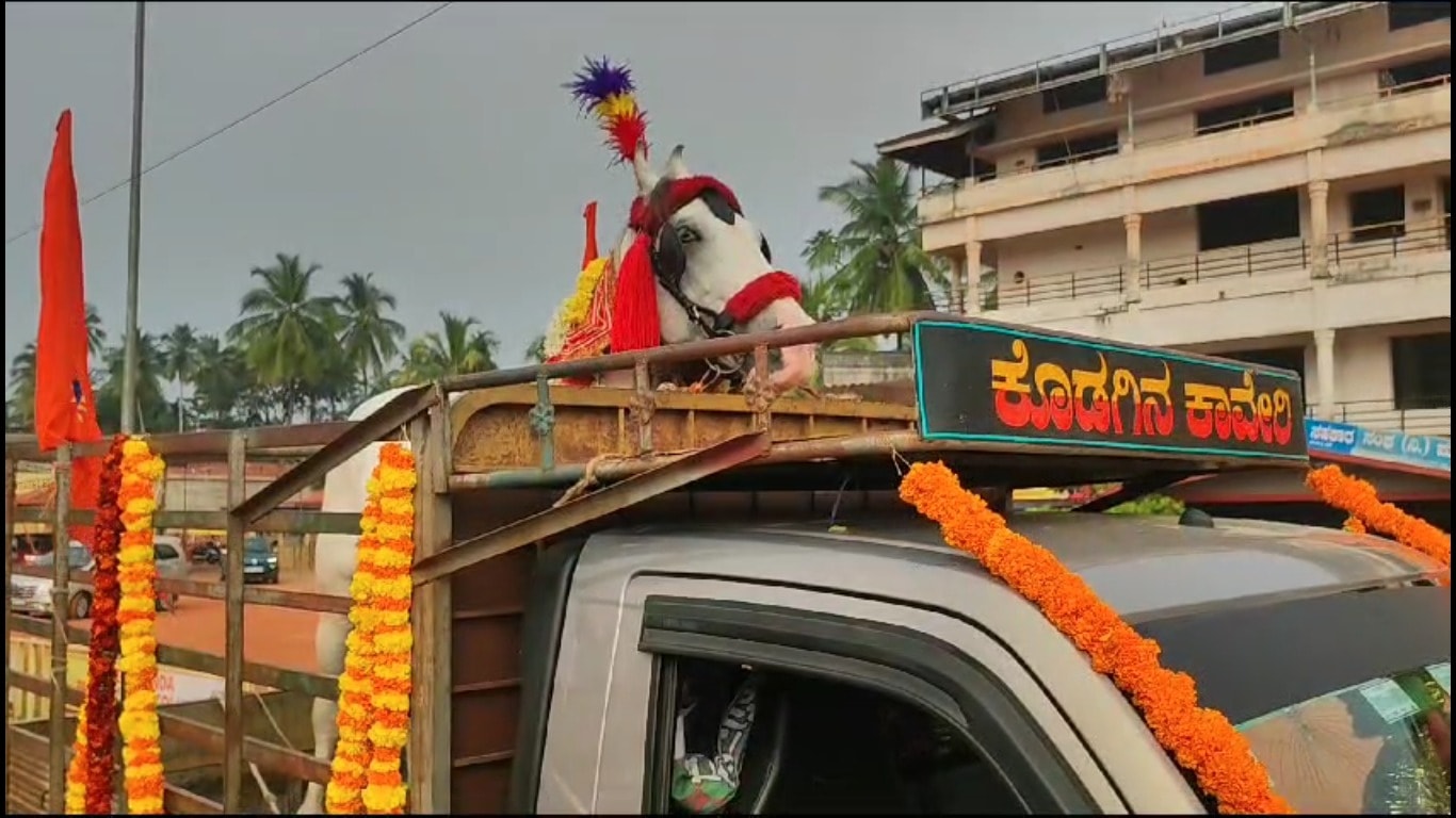 Puttur: ರಾಮನ ದಿಗ್ವಿಜಯ ನೆನಪಿಸುತ್ತೆ ಪುತ್ತೂರಿನ ಈ ರಾಮಾಶ್ವ ಯಾತ್ರೆ! | puttur ...