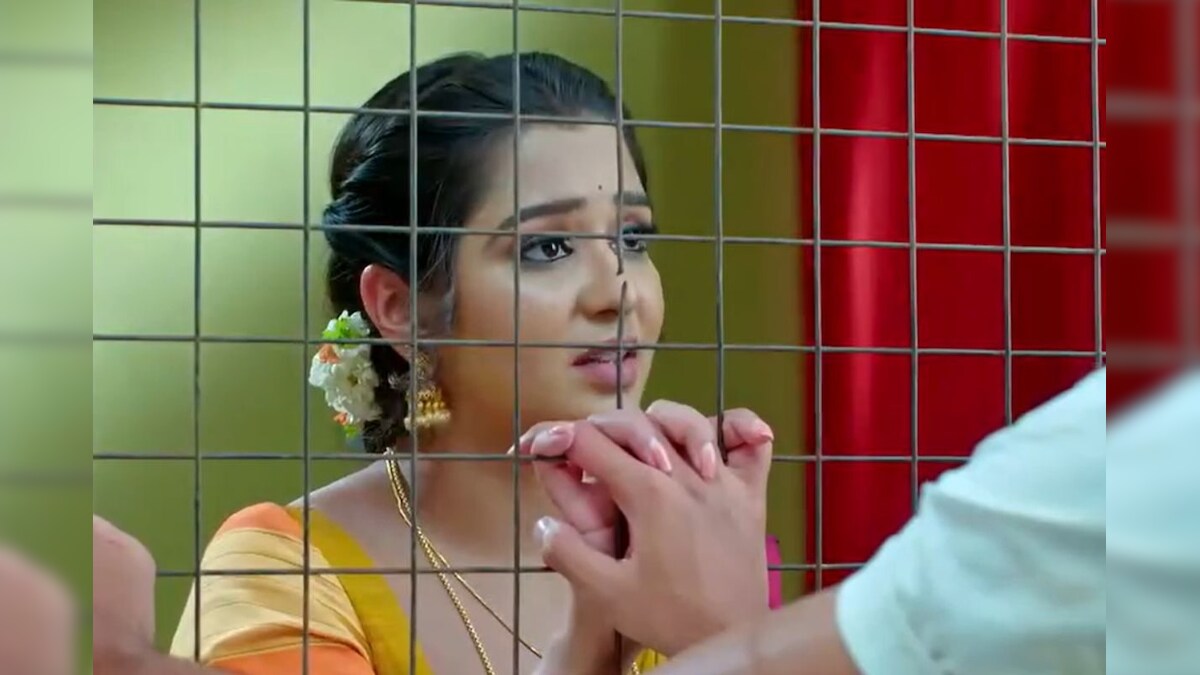 Ramachari: ಜೈಲಿಂದ ಹೊರಡಲು ರಾಮಾಚಾರಿ ಸಿದ್ಧ; ಚಾರು ತಂದೆಗೆ ಗೊತ್ತಾಯ್ತಾ ಸತ್ಯ? Ramachari ready to leave ...