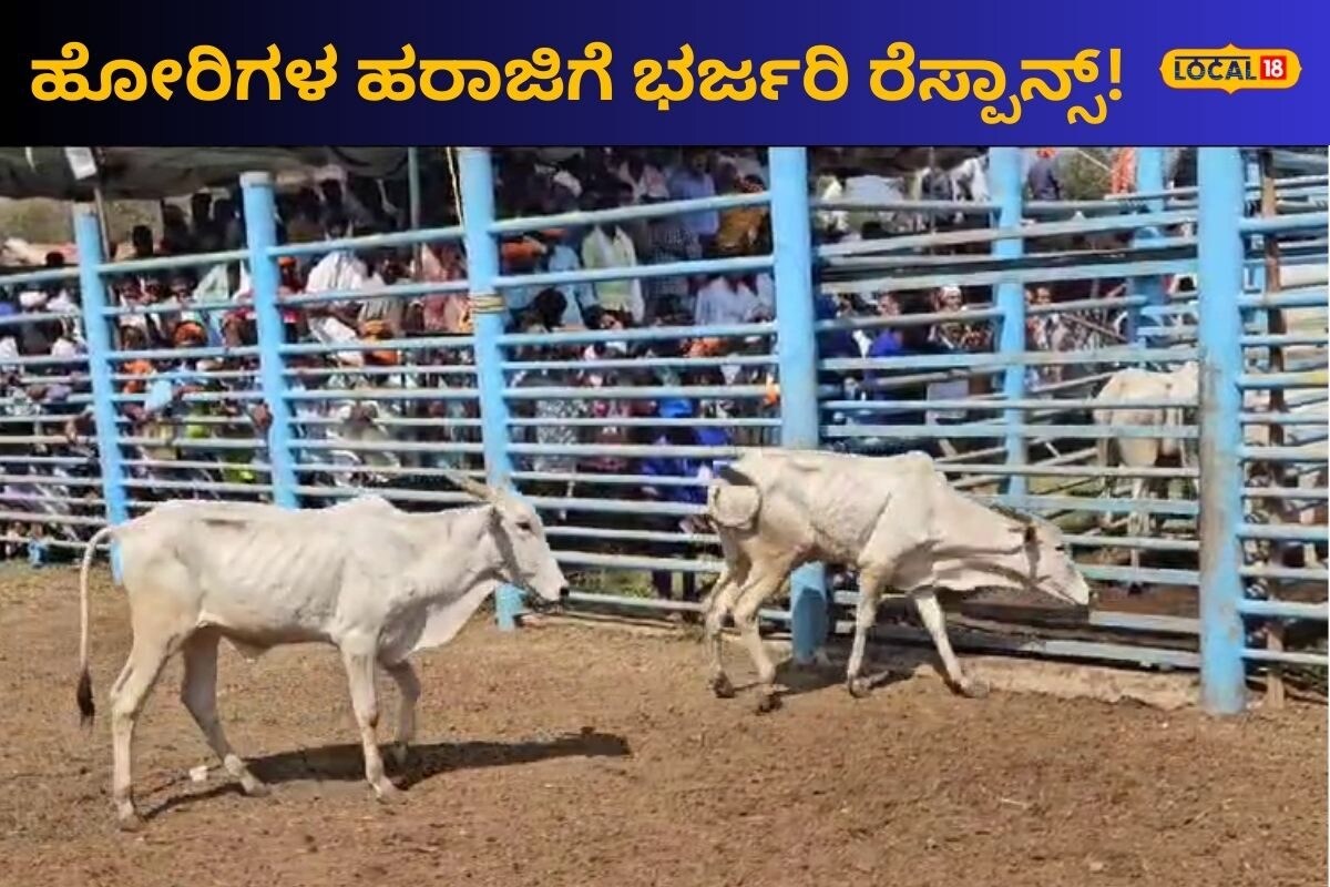 Chikkamagaluru News: ಅಮೃತ್‌ ಮಹಲ್‌ ಹೋರಿಗಳ ಹರಾಜು; 98 ಲಕ್ಷ ರೂಪಾಯಿಗೆ ಸೇಲ್ ...