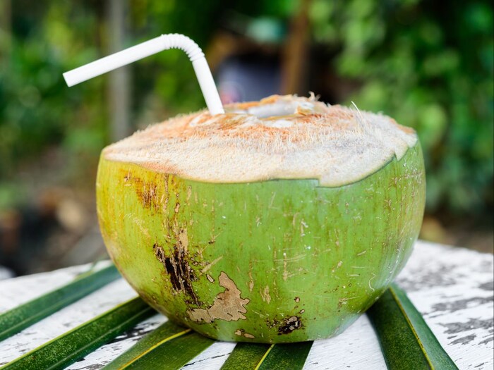 Coconut Water: ಎಳನೀರು ಯಾವಾಗ ಕುಡಿಯಬೇಕು? ಹೇಗೆ ಕುಡಿಯಬೇಕು ಗೊತ್ತಾ? ಖ್ಯಾತ ...