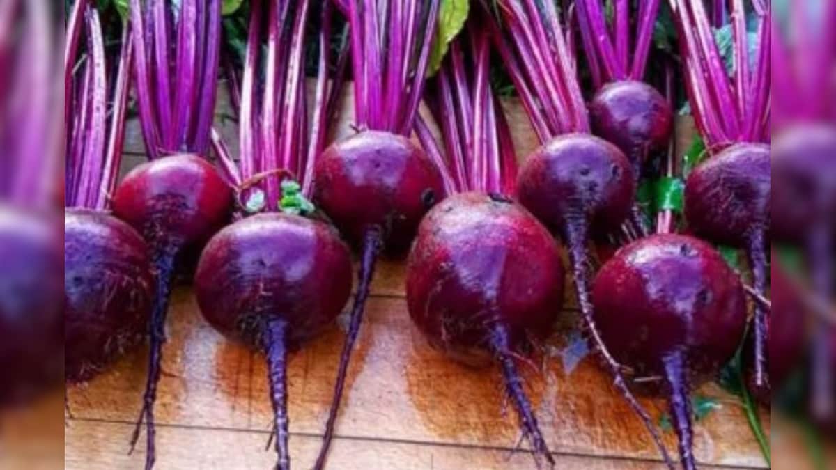Beetroot Benefits: ಸಕ್ಕರೆ ಕಾಯಿಲೆ ಇರುವವರು ಬೀಟ್ರೂಟ್ ಅನ್ನು ತಿನ್ನಬೇಕಾ ...