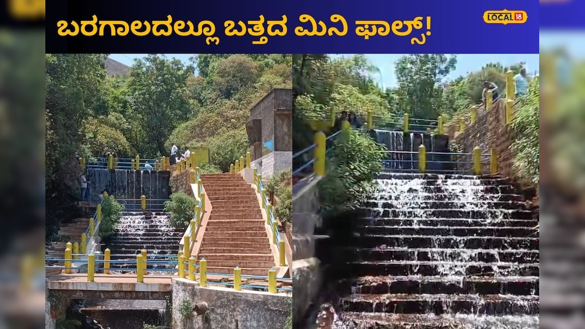 Honnamma Falls: ಬರಗಾಲದಲ್ಲೂ ಬತ್ತದ ಕಾಫಿನಾಡಿನ ಹೊನ್ನಮ್ಮ ಹಳ್ಳ; ಇಲ್ಲಿನ ಮಿನಿ ...