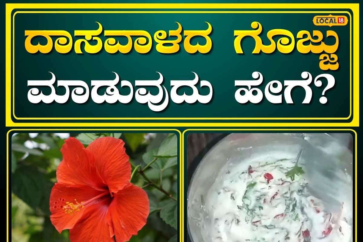 Hibiscus Flower Recipe: ದಾಸವಾಳ ಹೂವಿನ ಗೊಜ್ಜು ಈ ರೀತಿ ತಯಾರು ಮಾಡಿ ...