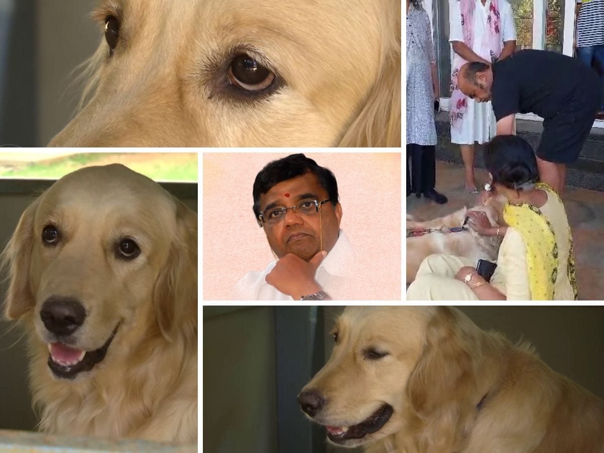 Dwarakish: ದ್ವಾರಕೀಶ್ ನಿಧನಕ್ಕೆ ಸಾಕು ನಾಯಿಯ ಮೂಕ ವೇದನೆ; ಮುದ್ದಿನ ಶ್ವಾನವನ್ನು ...