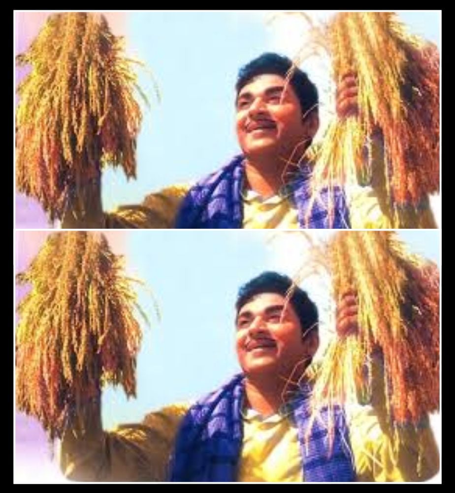 Dr Rajkumar: 7 ಭಾಷೆಗಳಿಗೆ ರಿಮೇಕ್ ಆಗಿತ್ತು ಅಣ್ಣಾವ್ರ ಆ ಸಿನಿಮಾ! ಯಾವುದು ...