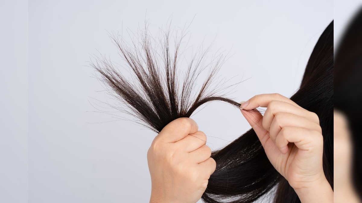 Split Ends Home Remedies: ಕೂದಲು ಕವಲೊಡೆಯುವಿಕೆ ಸಮಸ್ಯೆ ನಿಮ್ಮನ್ನು ಕಾಡ್ತಿದ್ಯಾ? ನಿಮ್ಮ ಈ ಸಮಸ್ಯೆಗೆ ...